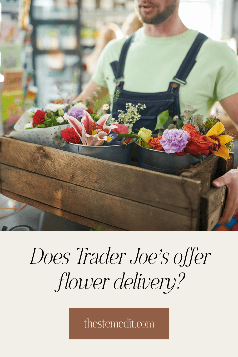 Can You Order Flowers from Trader Joe's? | The Stem Edit